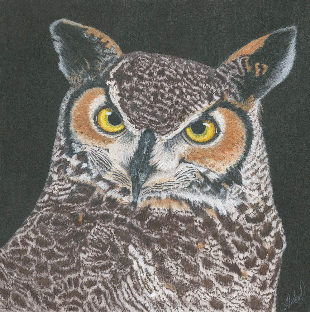 Terri Neal – Member Artist – Local 14 Art Show