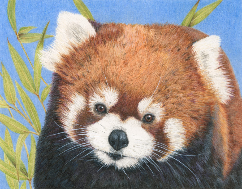 Terri Neal – Member Artist – Local 14 Art Show