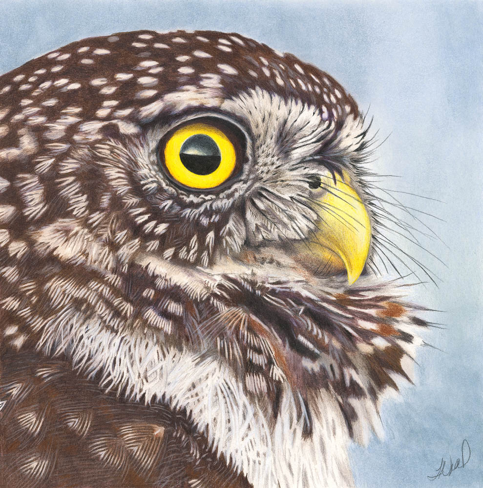 Terri Neal – Member Artist – Local 14 Art Show